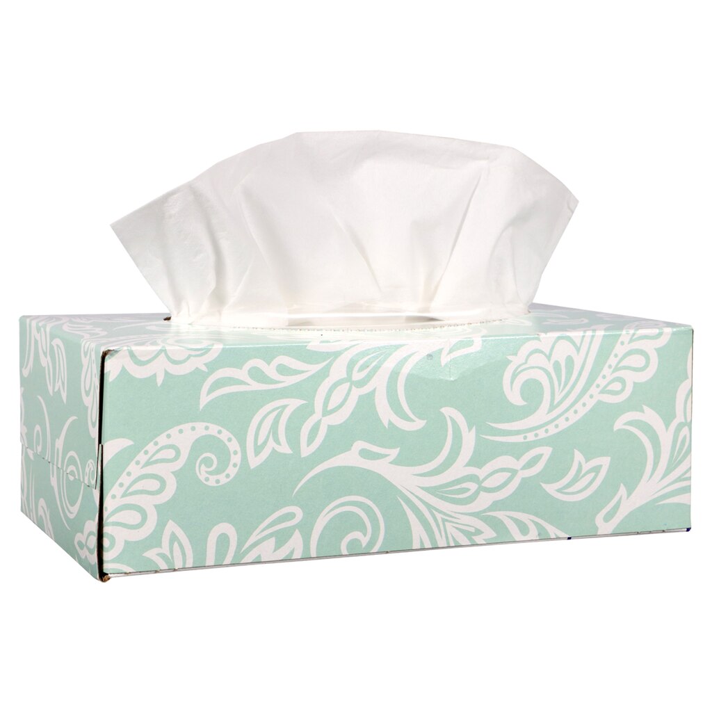 2-Ply Facial Tissues, 175-ct. Boxes | Blossom Global Store